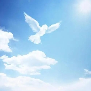 苍穹下第一玩家 