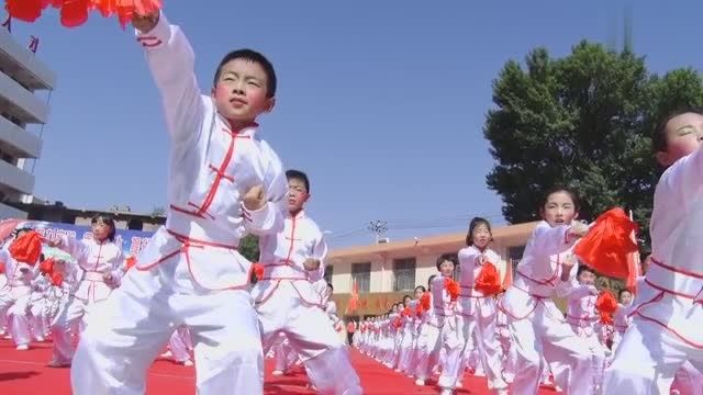 大型武术表演《五步拳》,武美画面,全场称赞厉害