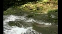 湖南张家界武陵源介绍片