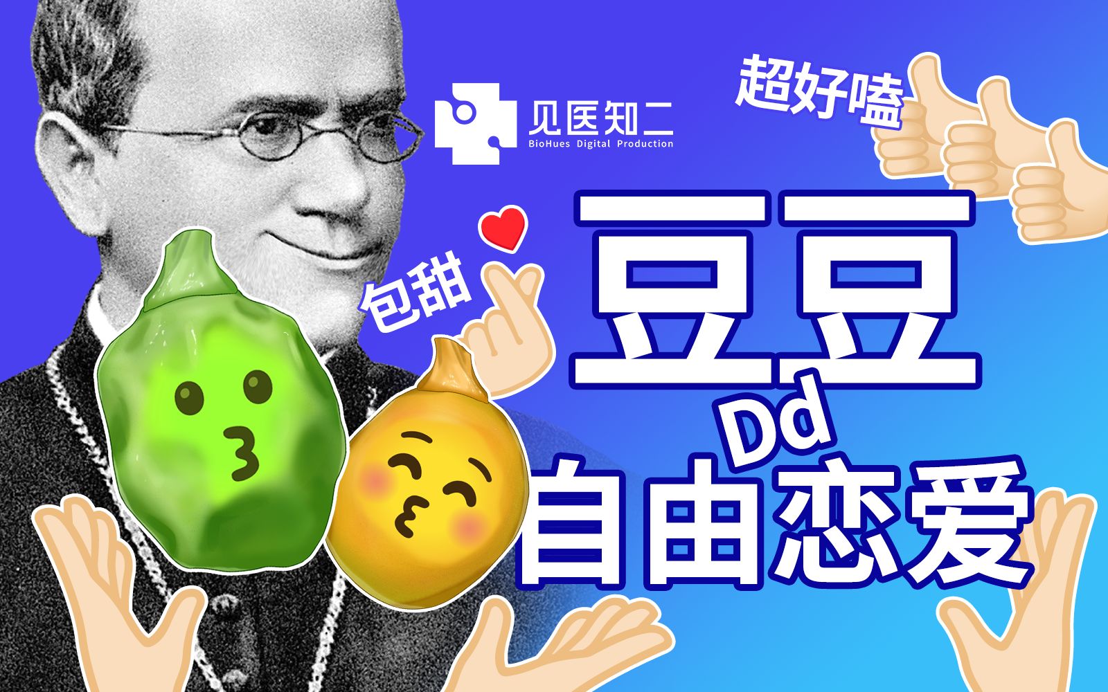 高考生物必知:【孟德尔自由组合定律】豌豆杂交实验