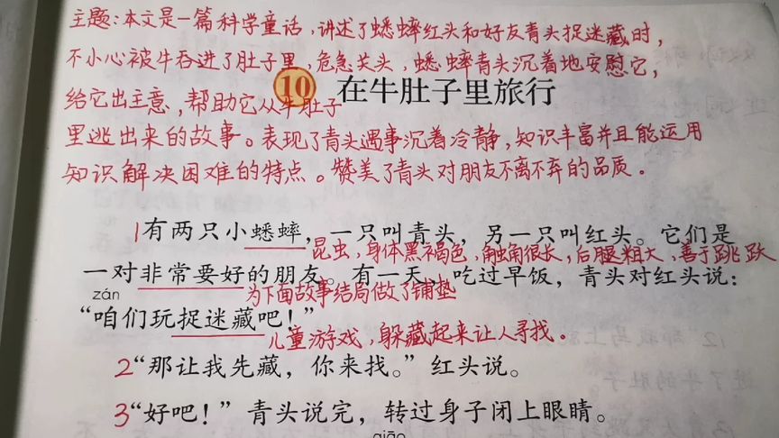 三年级语文上册第10课《在牛肚子里旅行》课文讲解