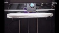 idea now3D打印机介绍,打印过程视频