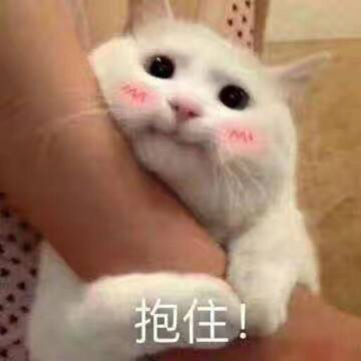得利家的一只猫 