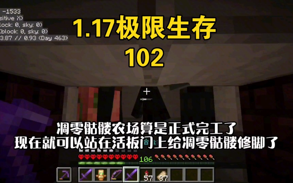 【我的世界】Java版1.17极限生存 102