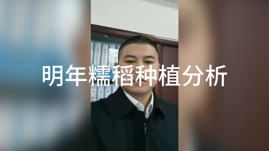 明年想种糯稻的进来看看