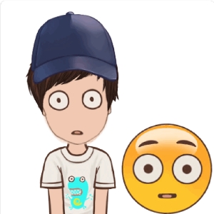 厚颜无耻的晓李 