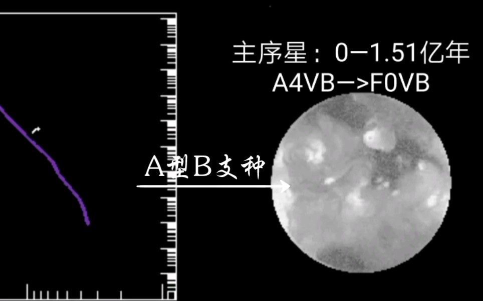 A型B支种(氦主序星)的一生,寿命仅正常恒星的十分之一!