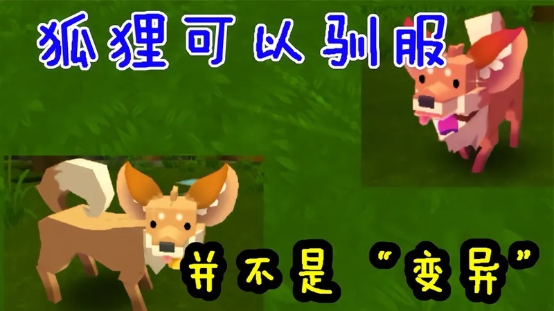 迷你世界 狐狸并不是变异的动物,狐狸是可以用骨头驯服的