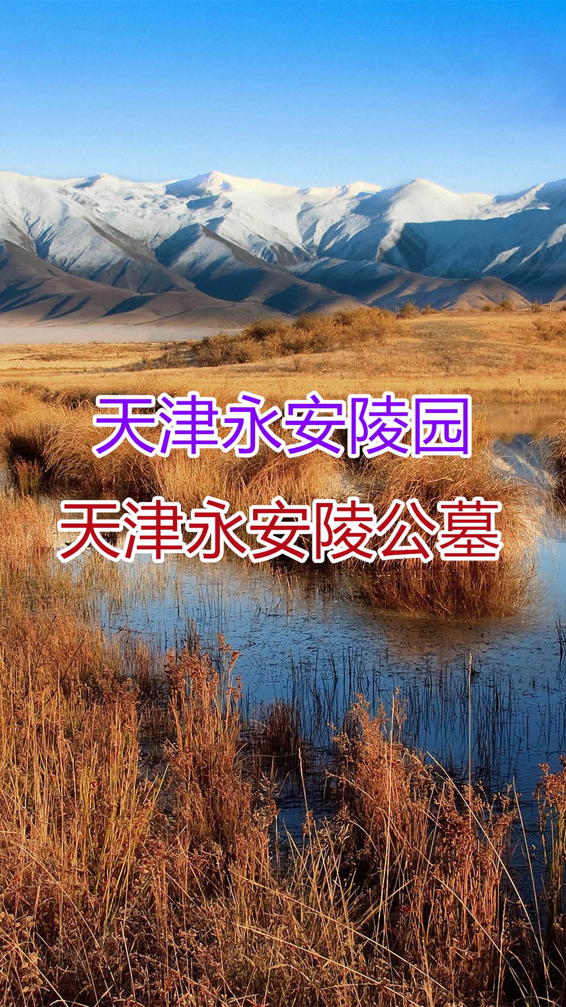 永安墓园,天津陵园公墓价格