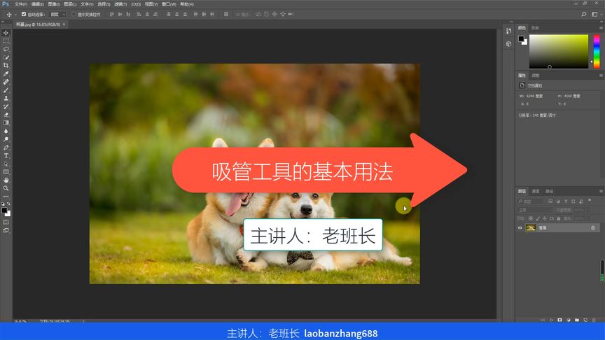 【PS教程】第二十九集PS中吸笔工具的基本用法