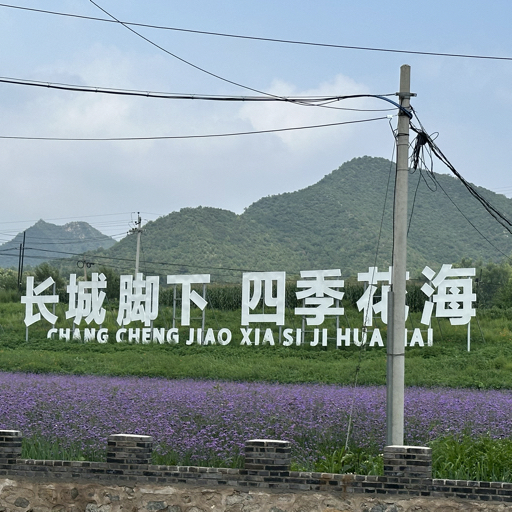 上时- 