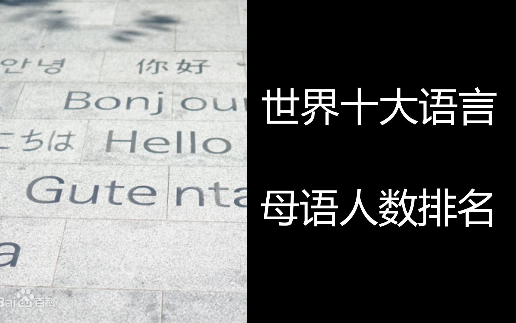 世界十大语言 - 母语人数排名 【排行榜】