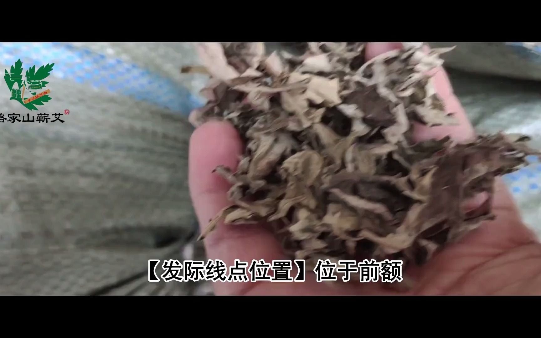 发际穴位置作用与功效,各种疗法及注意事项艾灸烟对身体有害还是有益