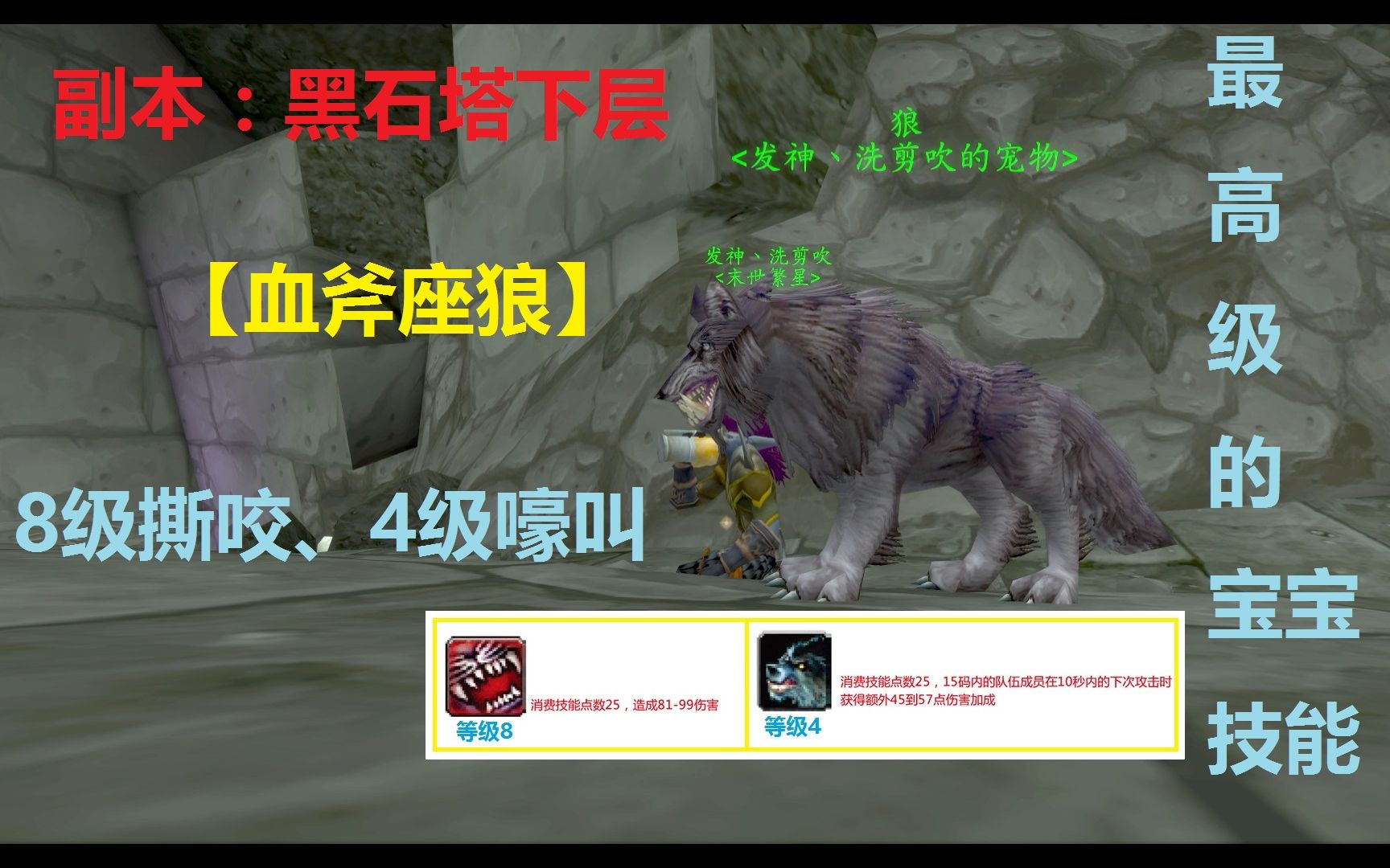 【魔兽怀旧服】刚满级LR单抓黑下【血斧座狼】详细教程(潜心蚂蚁...