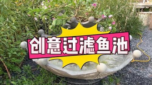 小伙用雨伞和铁锅制作出一个带有过滤循环系统的鱼池,实用又美观