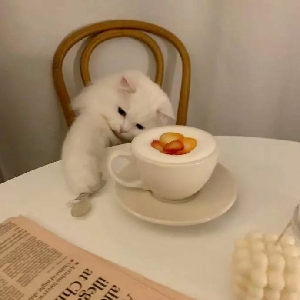 憨聆不是憨憨 