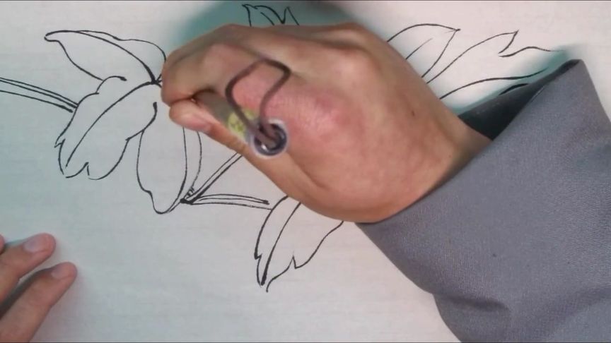零基础学习钢笔画,花卉的画法,第四篇!