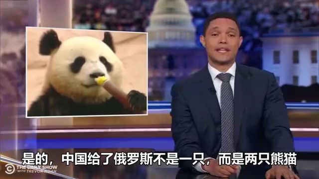 中国送了俄罗斯两只大熊猫,美国人民有小情绪了