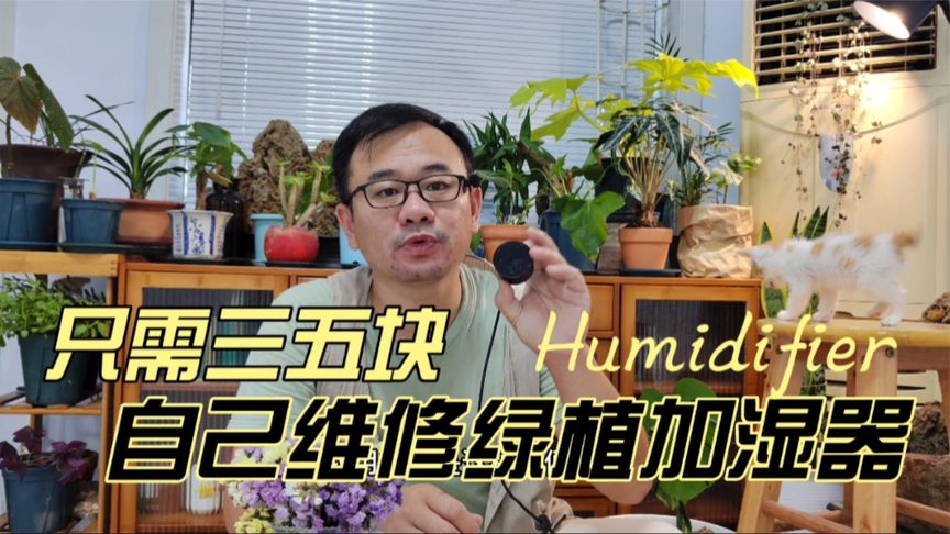 绿植用的加湿器,坏了买新的?不存在,只需三五块,自己就能维修