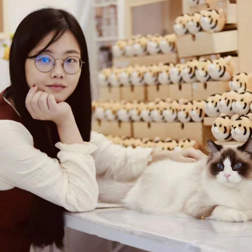 小熊猫羊毛毡说宠物 