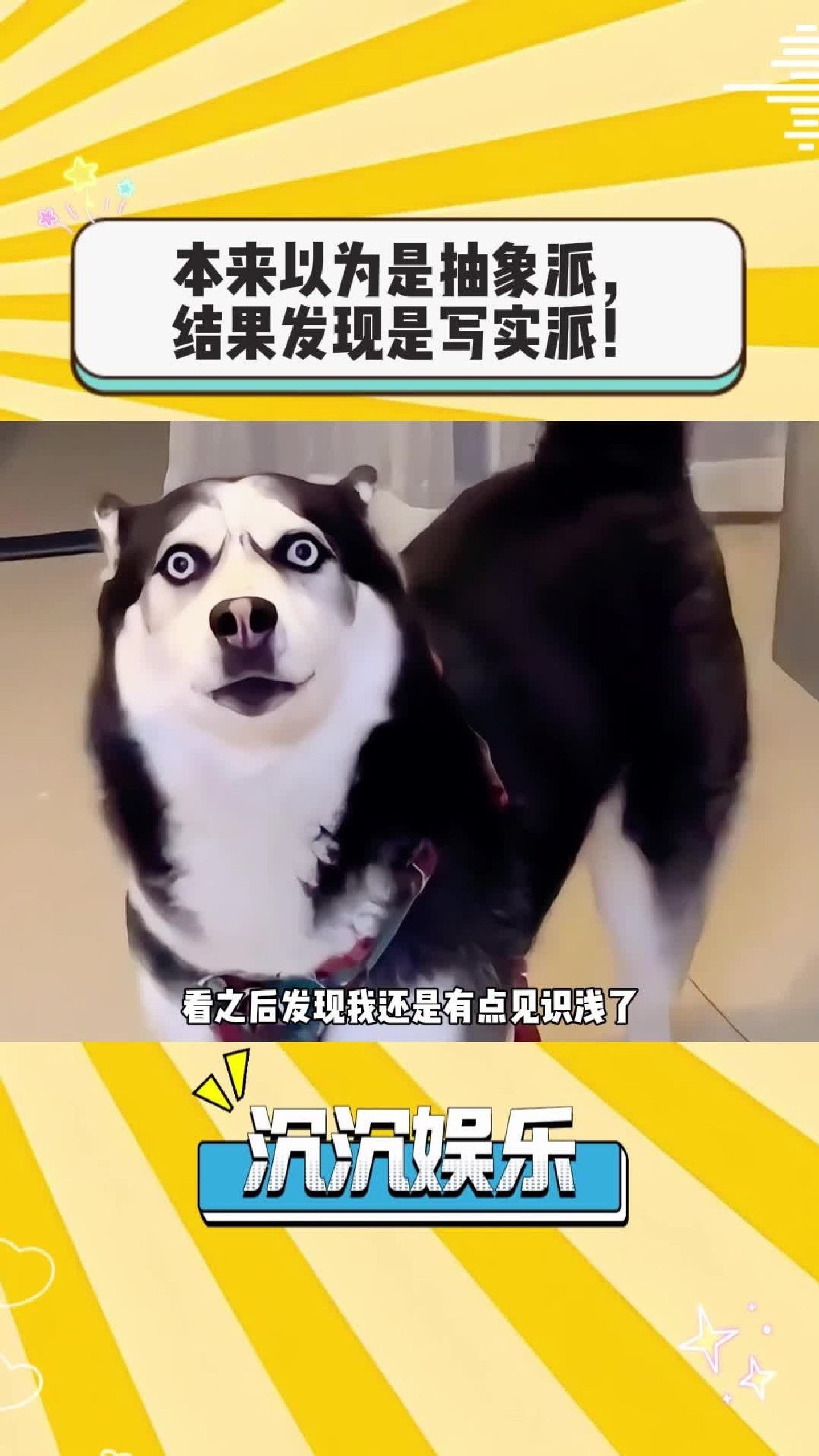 手画的寻狗启示照片和狗狗一模一样!