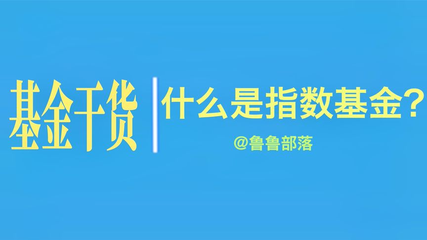 11基金干货分享:什么是指数基金?小白投资神器