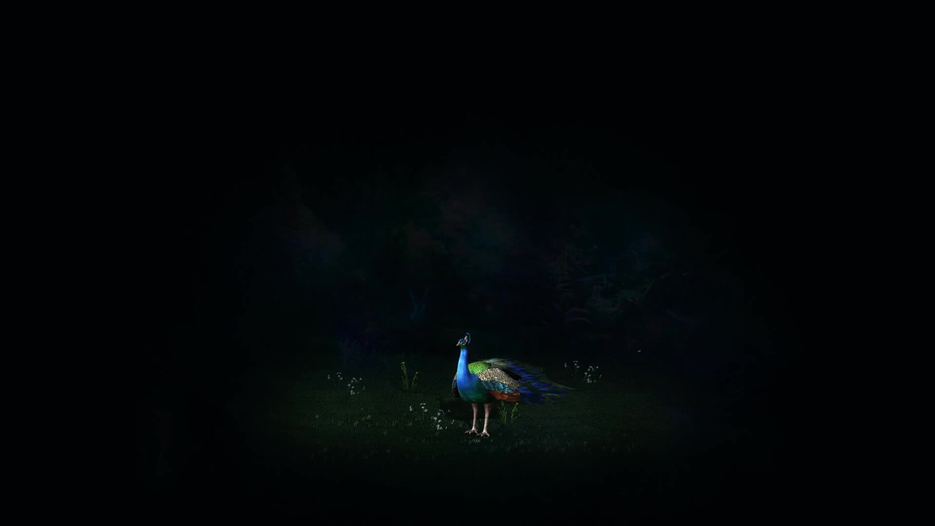 个人作品-参与的各种项目集锦