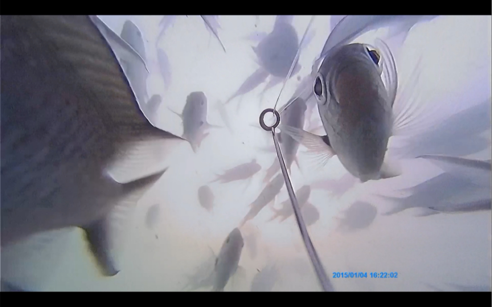 探鱼器,户外钓鱼,冰钓,水下观景,