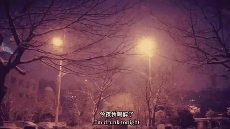 完整版王心凌CyndiWant's台北小巨蛋演唱会名场面