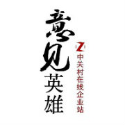意见英雄 