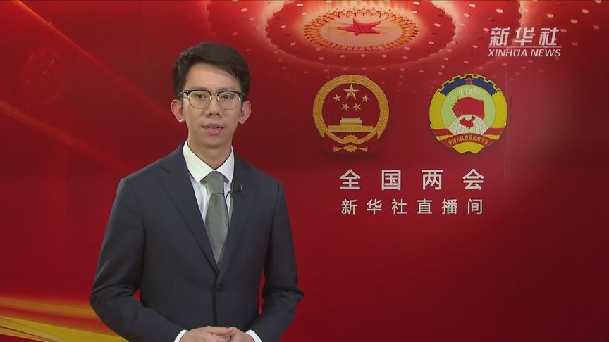 十三届全国人大四次会议收到代表议案473件