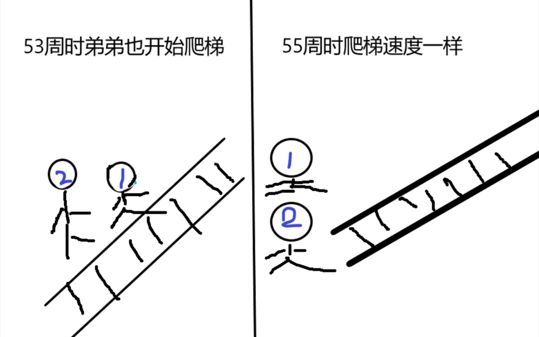 双生子爬梯实验