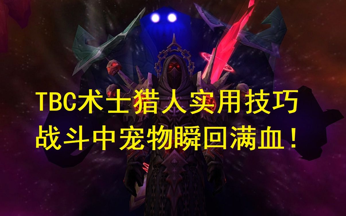 ...术士猎人宝宝战斗中瞬回满血小技巧,不占CD可无限使用_哔哩哔哩...