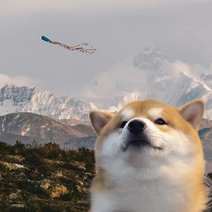 江东的天 
