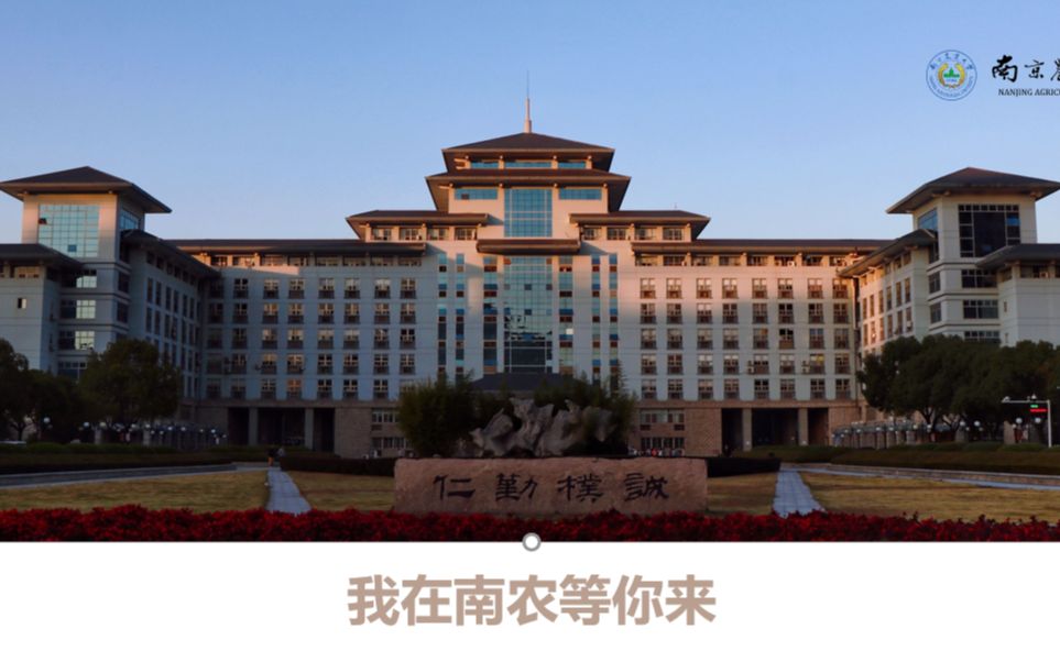 情系母校之广东省中山一中寒宣:南京农业大学2022年寒假社会实践暨...