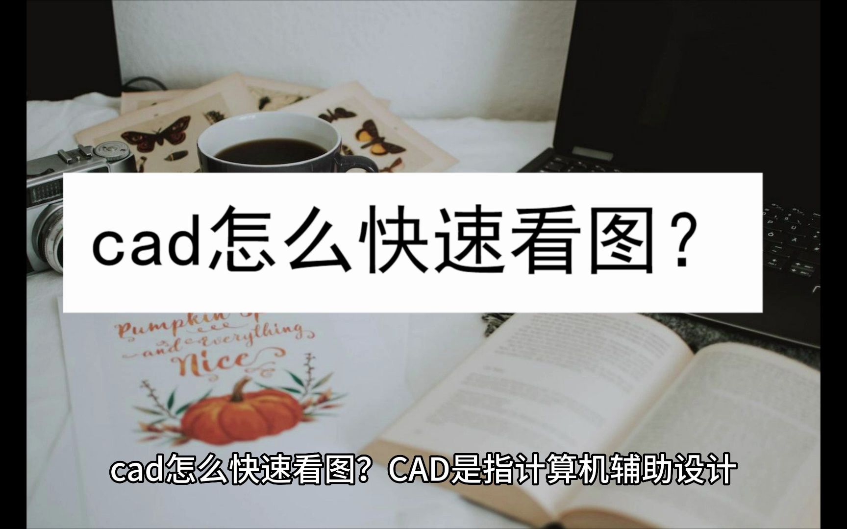 cad怎么快速看图