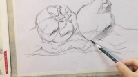 2月10日素描水果基础教学一