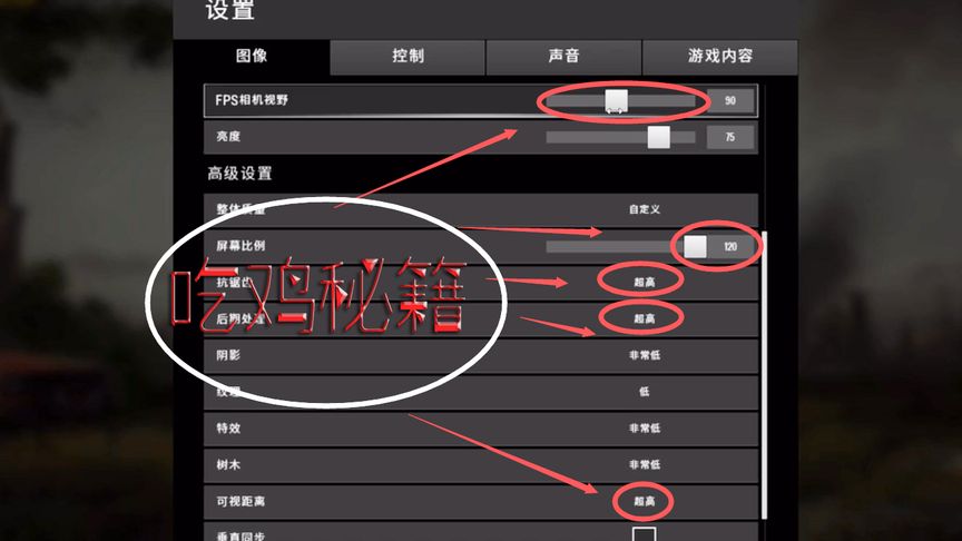 绝地求生:为啥游戏主播吃鸡很简单?几项画面设置,视野你差一截