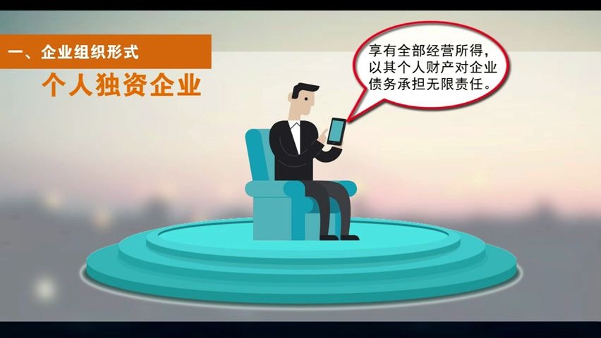 企业组织形式和财务管理的环境