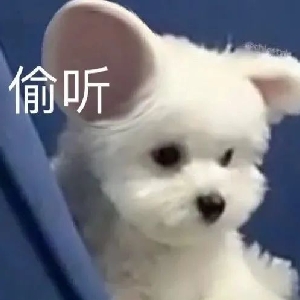 不知道哪个公司HR 