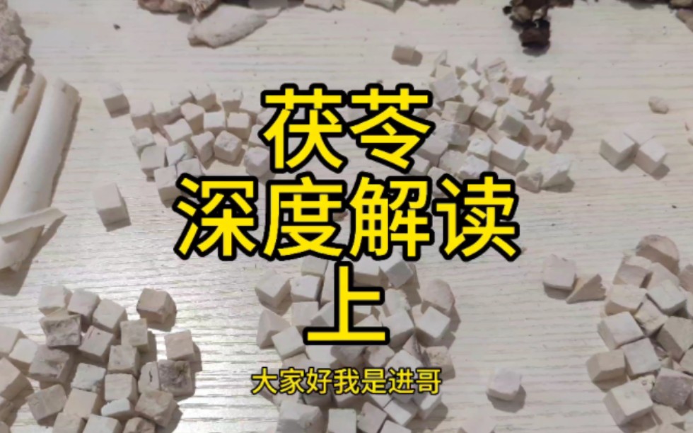 茯苓解读系列:产区问题 规格划分问题等,这一期为大家主要讲解的内容