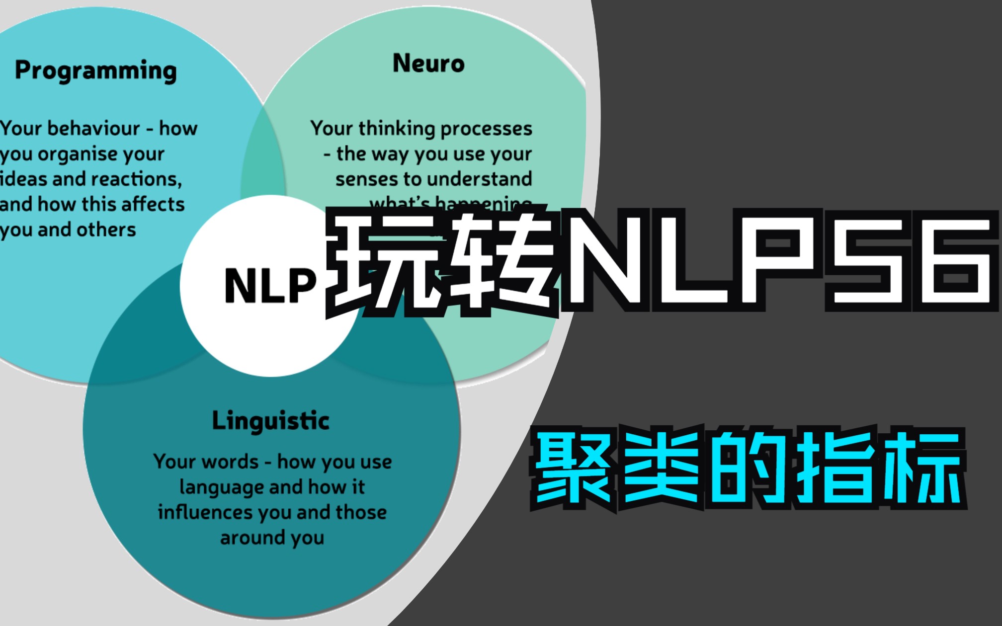 玩转NLP56:聚类的指标