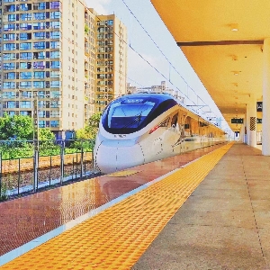 音交游 