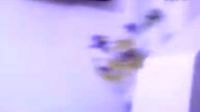 投影仪二次元影像仪