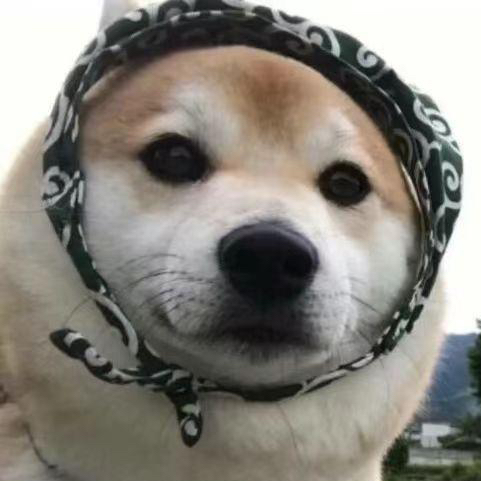 关注哎哟喂 