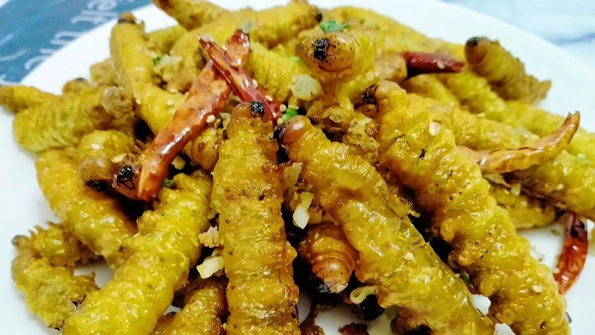 “春蚕”具有降血脂、血糖等功效,用烹饪手法炸制入口香酥甘甜