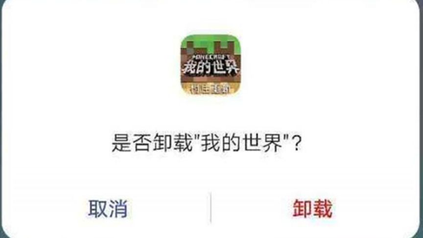 我的世界揭秘53:最后一位服务器玩家的自白!拯救不了mc