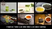 食闻知味:绿茶、红茶、白茶、黄茶、青茶、黑茶,你知道该如何分辨吗?