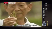 袁隆平痴迷于杂交水稻,连父亲最后一面都没见,敬业精神令人钦佩