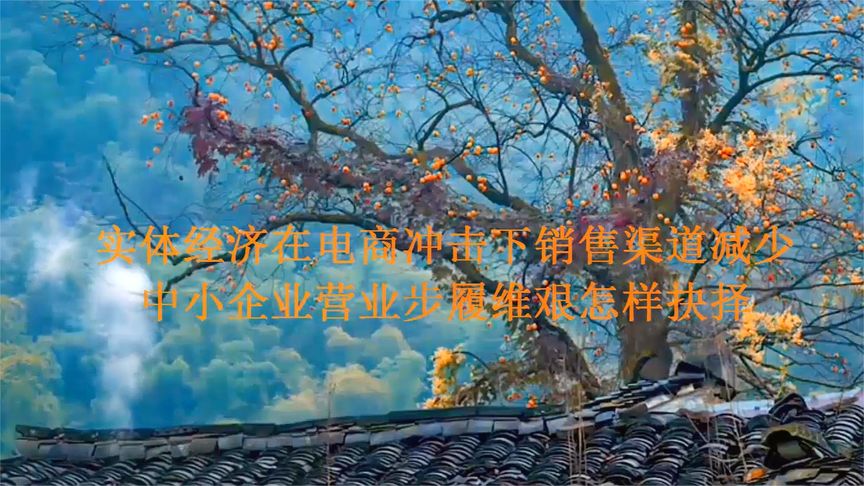 实体经济应尊重市场经济文化,转型应该打造自己渠道优势